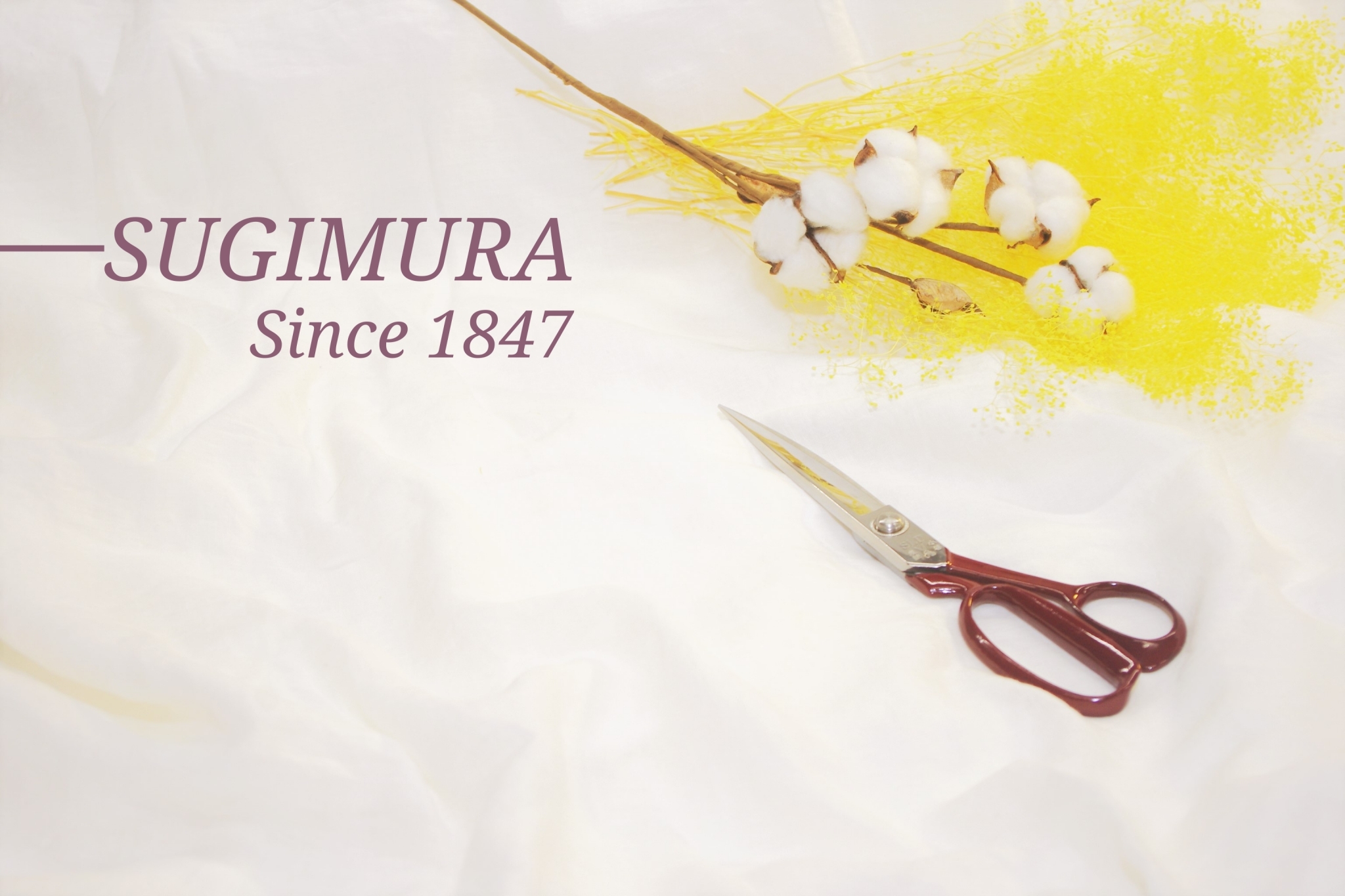 Sugimura & CO., LTD.