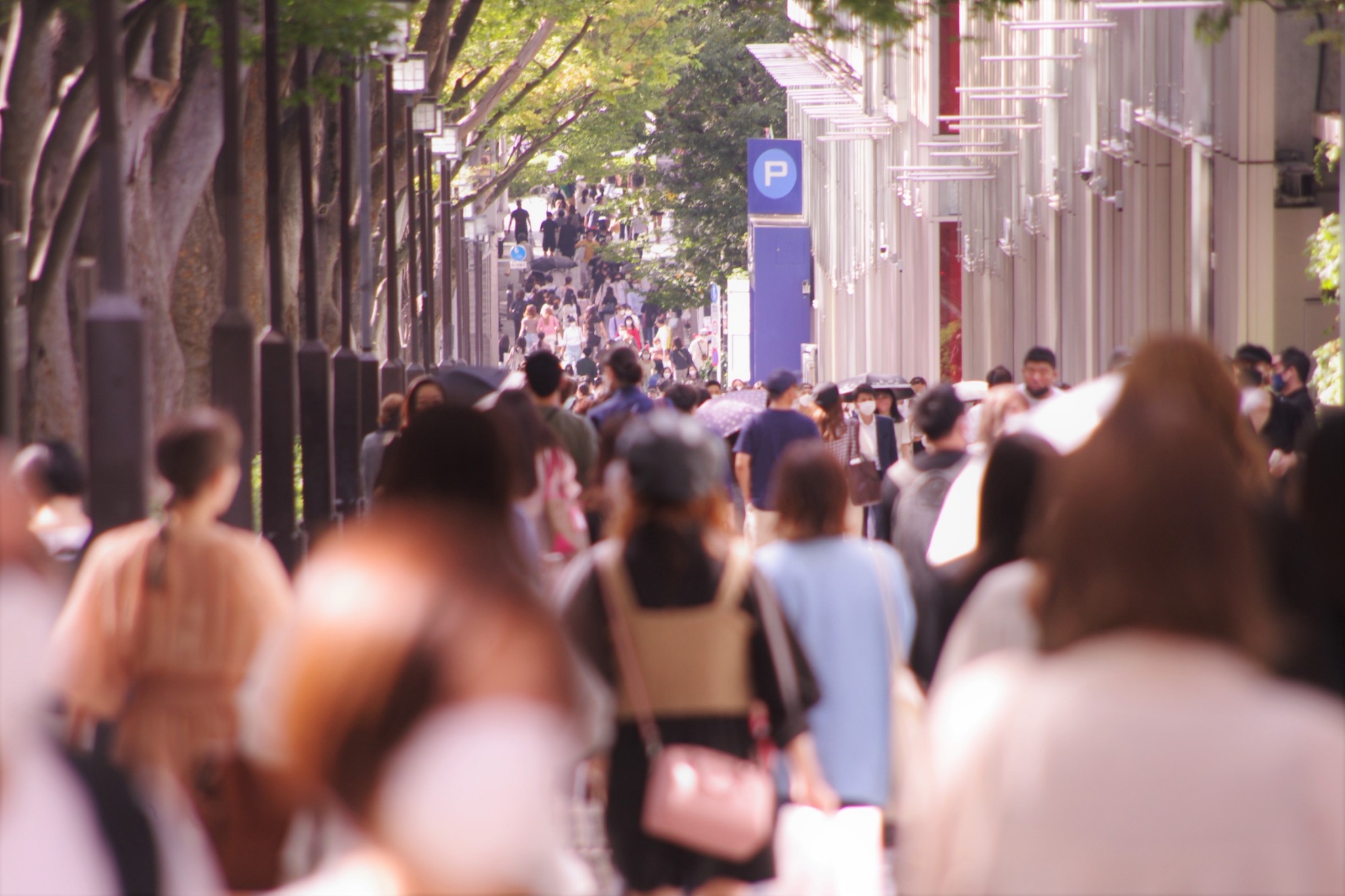 Sugimura & CO., LTD.